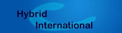 Home - Hybrid International LLC